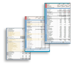 Financial Statement Spreading Software | Fiscal - Est. 1980